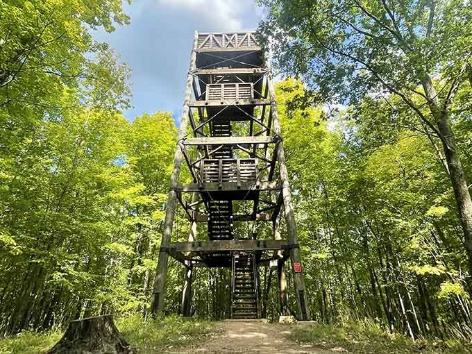 That observation tower promises views worth every single step, and your complaining knees will eventually forgive you.