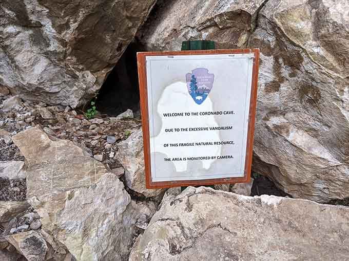 Fair warning: cameras are watching, so resist the urge to channel your inner Indiana Jones.