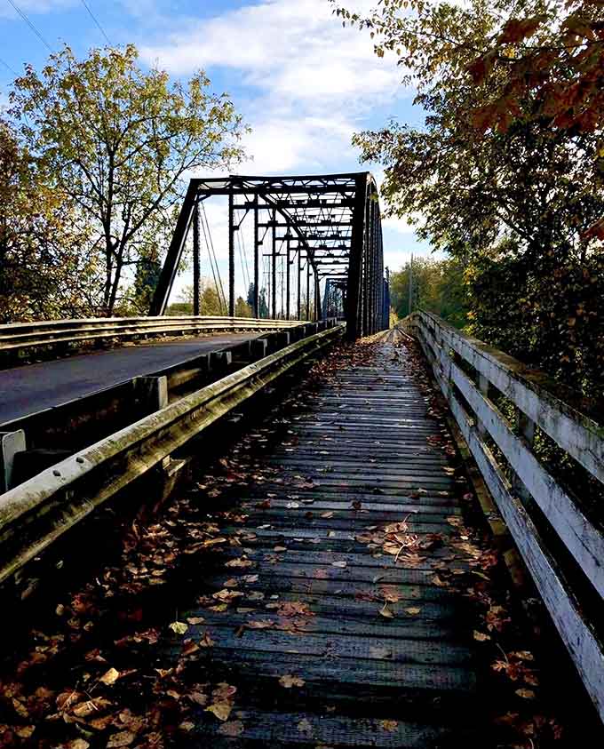 Autumn transforms the bridge into a postcard scene, complete with fallen leaves providing nature's own welcome mat.