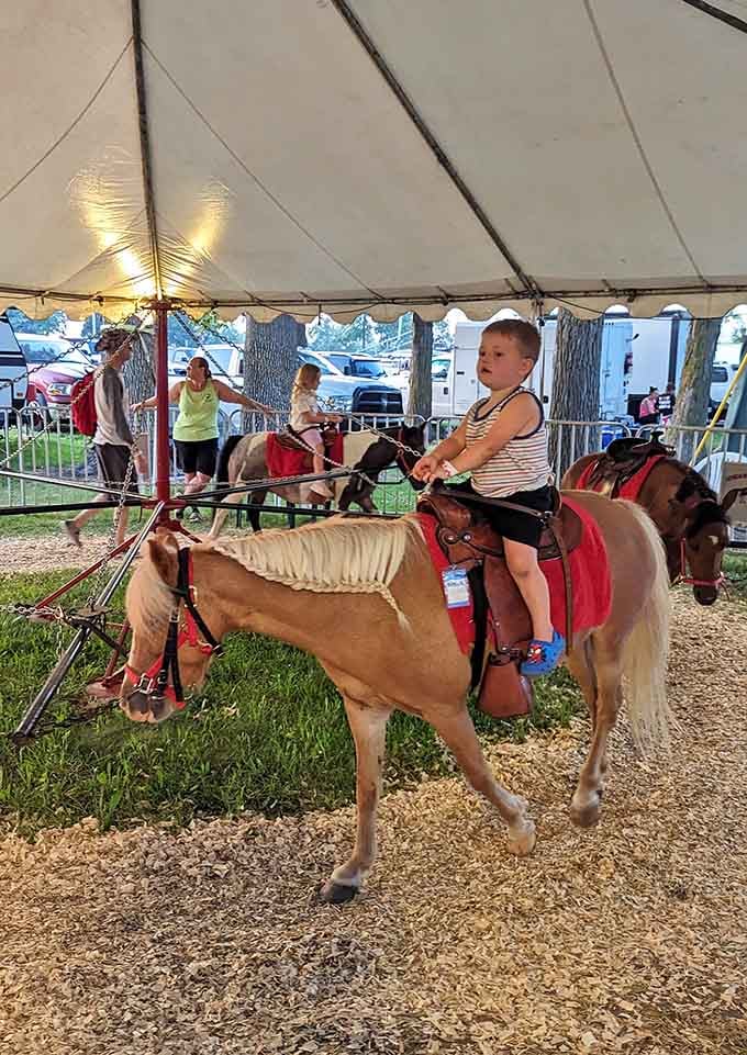 Nothing beats the pure joy on a kid's face during their first pony ride at the fair.