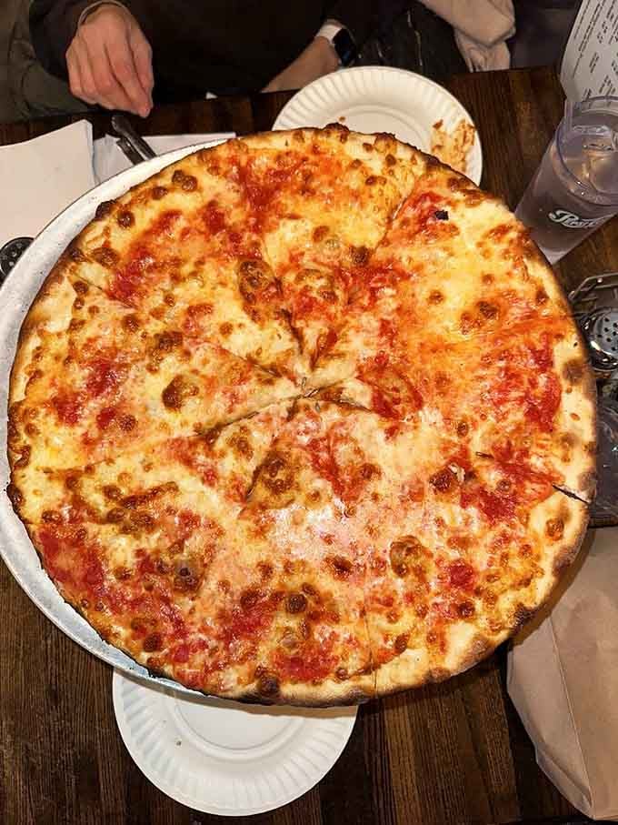 Behold the platonic ideal of a cheese pizza: golden, bubbly, and demanding your immediate attention.