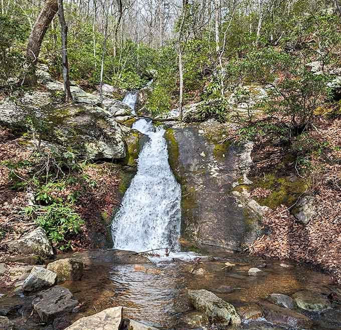 Blue Suck Falls proves that Virginia's hidden waterfalls rival anything you'd find in travel magazines.