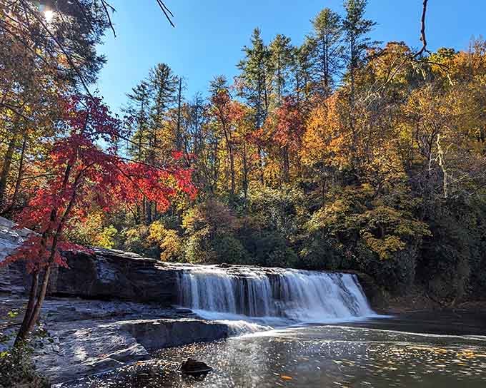 Autumn transforms this waterfall into a painter's fever dream, where fiery leaves meet cool rushing water in perfect harmony.