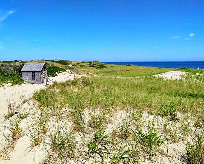One weathered shack, endless dunes, and the Atlantic beyond&mdash;basically retirement goals for introverts everywhere.