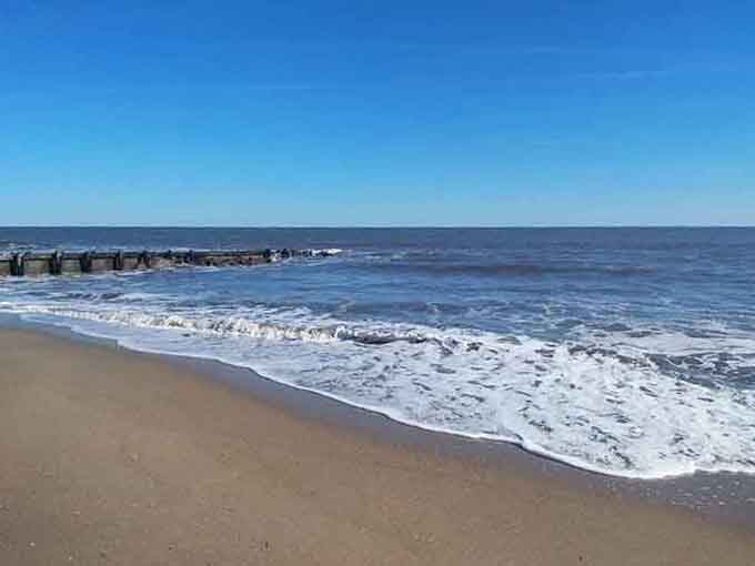 Those old pilings tell stories the ocean whispers, standing guard over waves that never stop their ancient conversation.