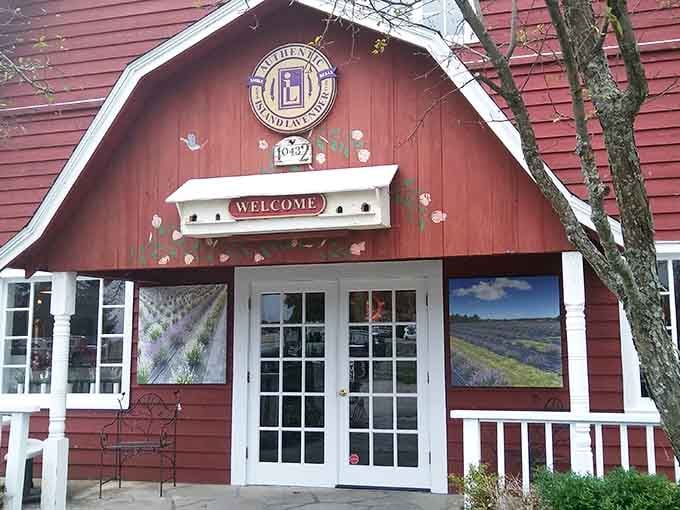 Even the specialty shops maintain that signature white-and-green aesthetic, because rules are rules, people.