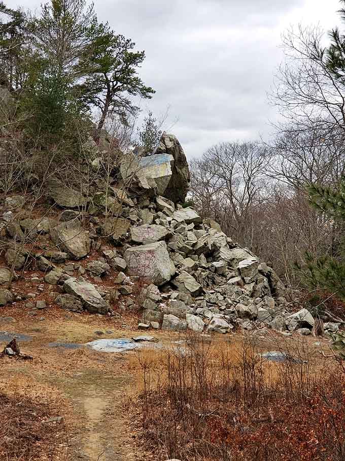 What remains of Profile Rock still commands attention, a granite giant watching over the forest below.