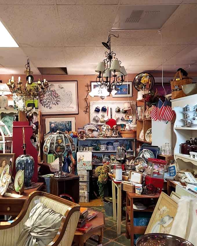 Organized chaos at its finest, where every shelf holds a story waiting to be rediscovered by curious eyes.