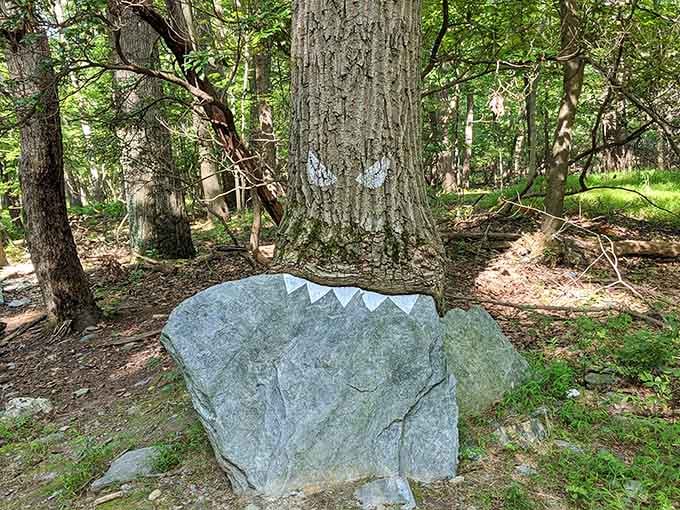 Nature's sculpture garden includes some pieces that didn't require an artist's statement to appreciate.