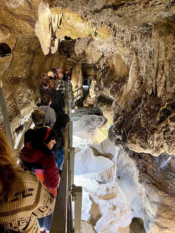Nothing says family bonding quite like descending into the earth together while pretending you're not slightly nervous.