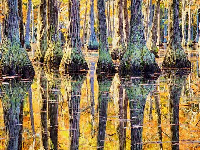 When the water turns to glass and the trees paint themselves in gold, you'll understand why photographers obsess over this place.