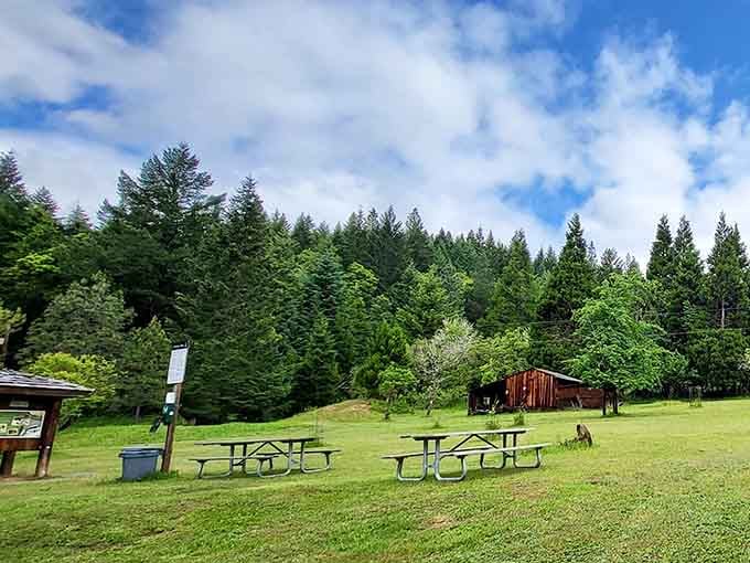Picnic tables invite you to linger where pioneers once gathered, though their lunch options were considerably limited.