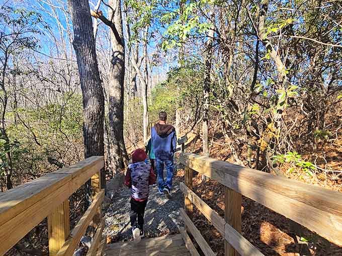 Even the youngest hikers can experience the magic here, creating memories that'll last way beyond childhood.