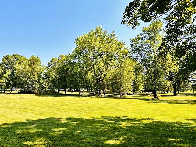 Green spaces where dogs and humans can both remember what grass feels like under their feet, revolutionary concept really.