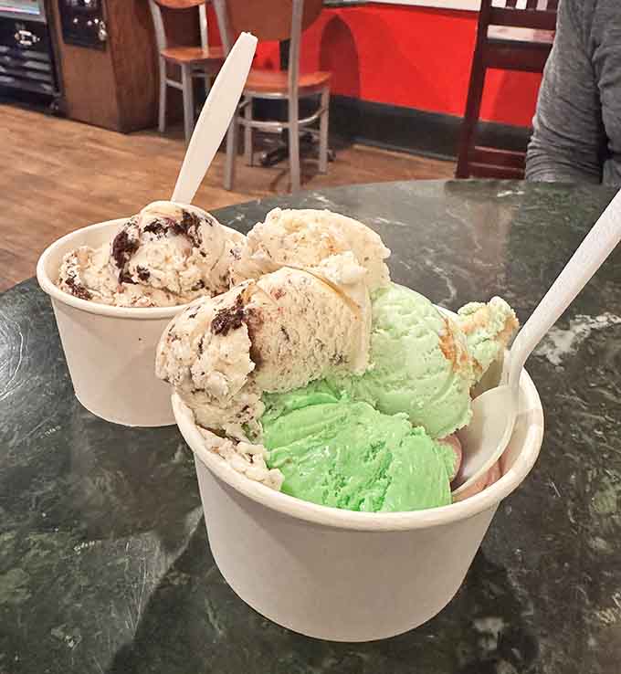 Two cups of creamy perfection proving that sometimes the hardest decision is choosing just one flavor at a time.