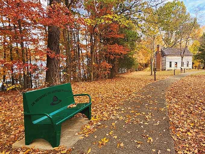 A simple green bench surrounded by autumn leaves, because sometimes the best seat in the house is outdoors.