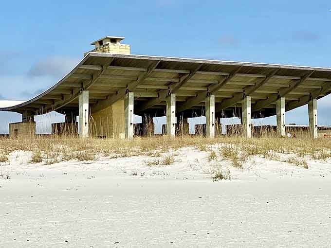 Modern architecture meets hurricane-proof engineering in this stunning facility that actually survived the test.