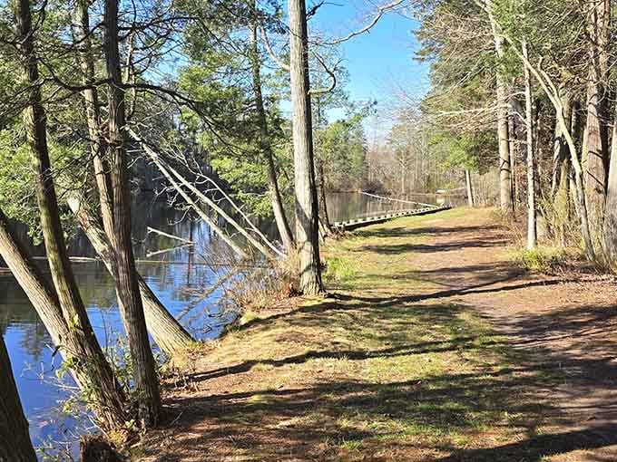 A peaceful path where the only traffic jam involves deciding whether to walk or just stand and stare.