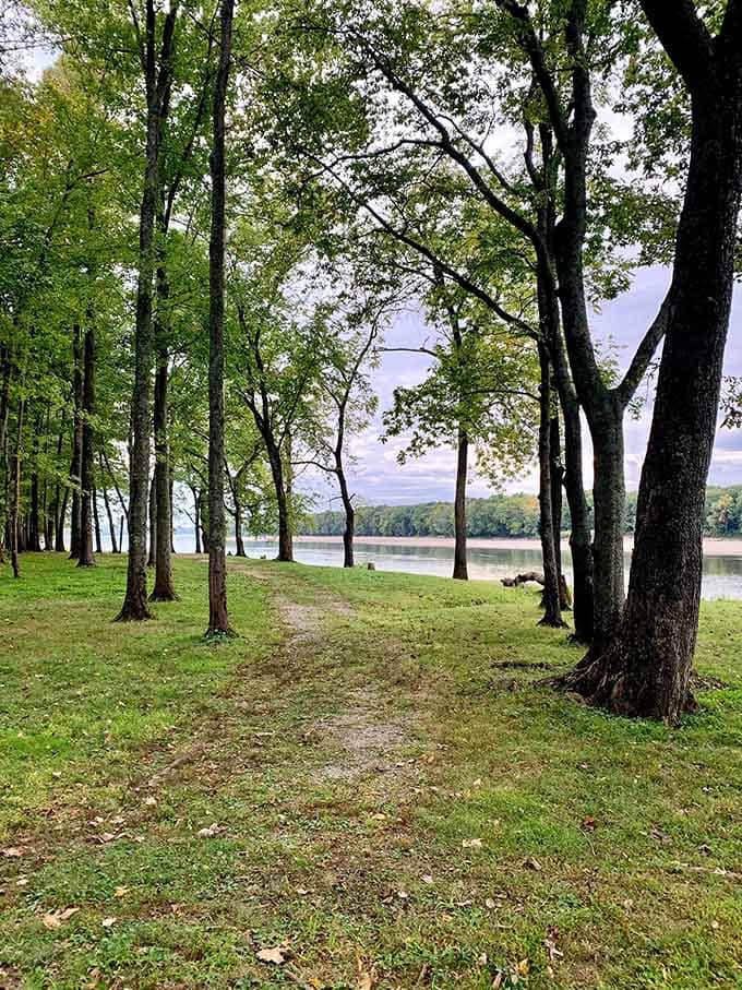 Mature trees frame the Wabash River like nature's own picture window, creating postcard-worthy scenes at every turn.