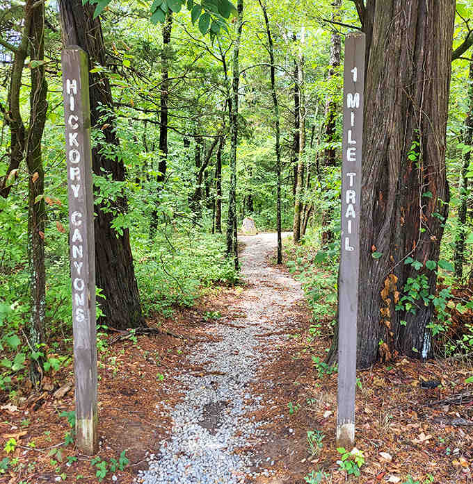The trailhead beckons like an invitation to adventure, promising cliffs and waterfalls just beyond those welcoming wooden markers.