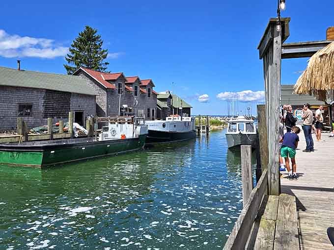 Families discover that the best attractions don't need fancy upgrades, just authentic charm that speaks for itself.