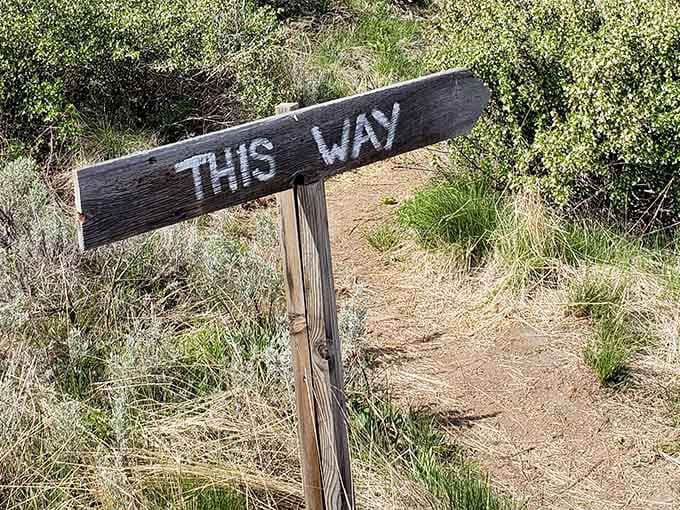 Sometimes the best adventures start with the simplest directions pointing you toward something magical.