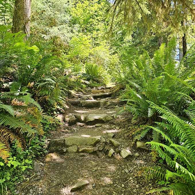 Stone steps leading deeper into green wonderland, because even paradise needs a proper entrance with good footing.