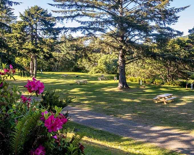 Spacious green lawns and flowering rhododendrons make this feel more like a resort than a campground.