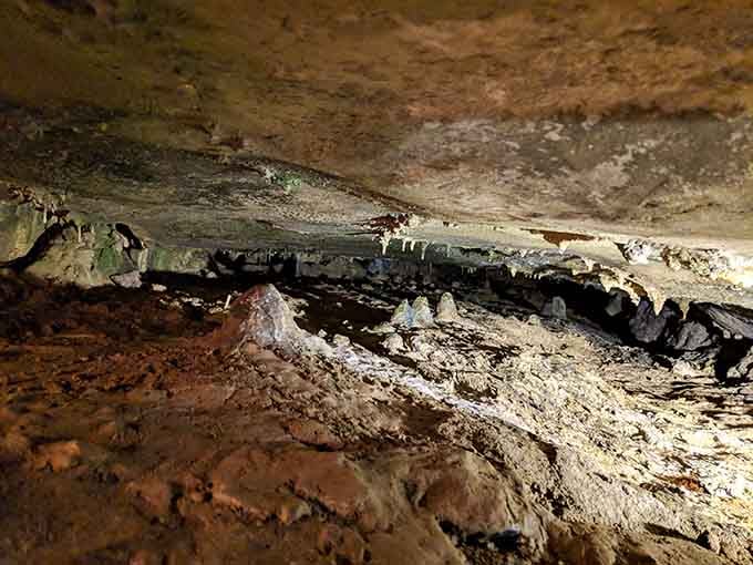 The ceiling looks like it's been decorated by the world's most patient interior designer with unlimited time.