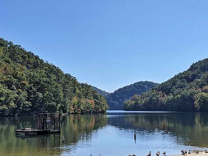 The swimming area where families gather to prove that the best things in life really are free.