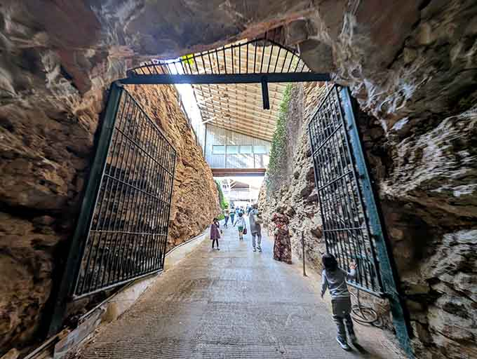 Through the gates and into another world, where every step reveals something you've never seen before.