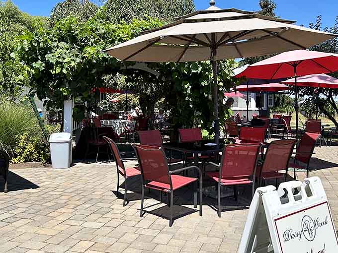 Daisy Creek Vineyard's patio offers the perfect spot to contemplate wine, sunshine, and your excellent life choices today.