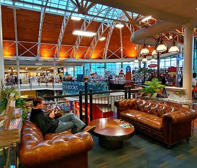 Leather couches overlooking shelves of books prove that comfort and culture can absolutely coexist in perfect harmony.
