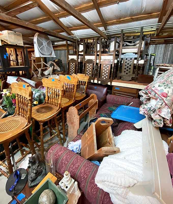 That vintage chair collection looks like a family reunion where everyone actually gets along for once.