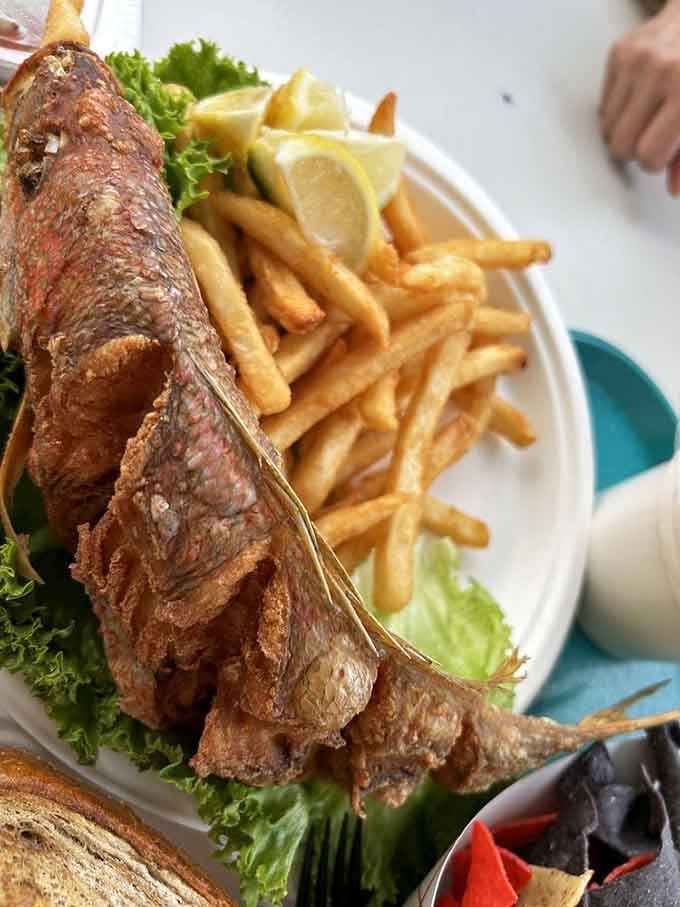 That whole fried yellowtail snapper is so fresh it probably has friends still swimming in the marina outside.