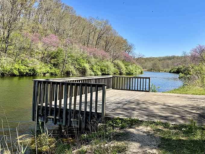 This deck offers front-row seats to nature's daily show, no ticket required, popcorn optional but recommended.