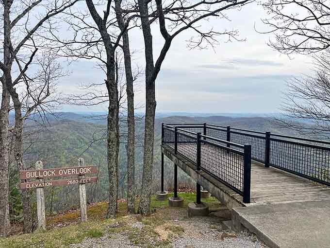 Bullock Overlook sits at 2,680 feet, proving Kentucky can do elevation when it wants to show off.