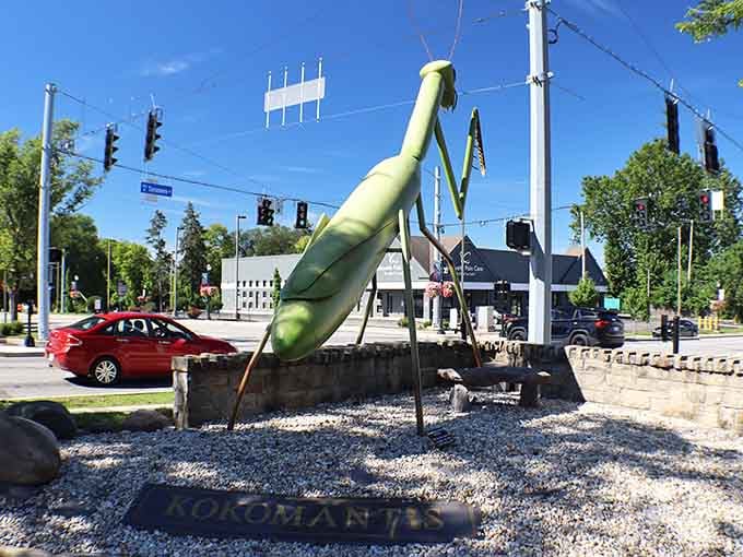 Downtown Kokomo's most photogenic resident casually watching traffic like it owns the place, because it does.