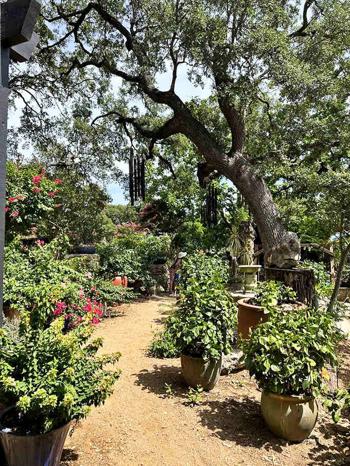 Garden paths wind through potted plants and ancient oaks, proving that even paradise needs a little thoughtful landscaping touch.