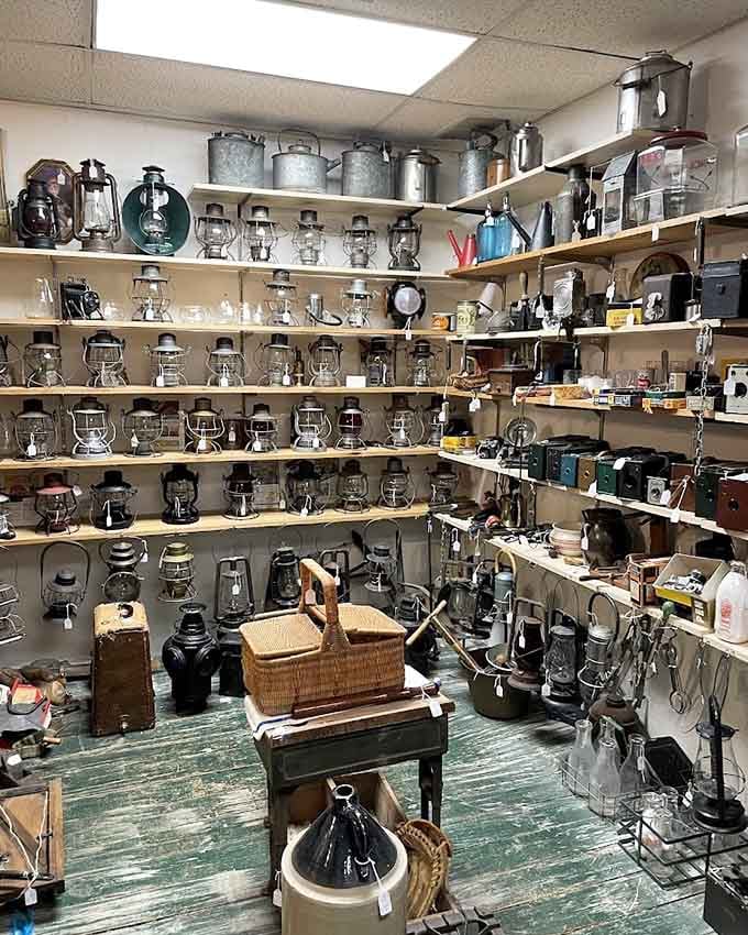 Vintage lamps cluster together like they're gossiping about all the living rooms they've illuminated over the decades.