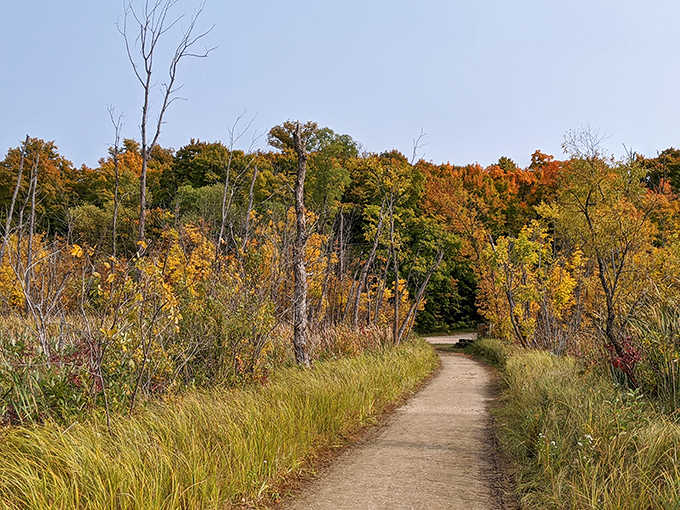 Prairie paths that stretch toward autumn colors like they're reaching for the last piece of pumpkin pie at Thanksgiving dinner.