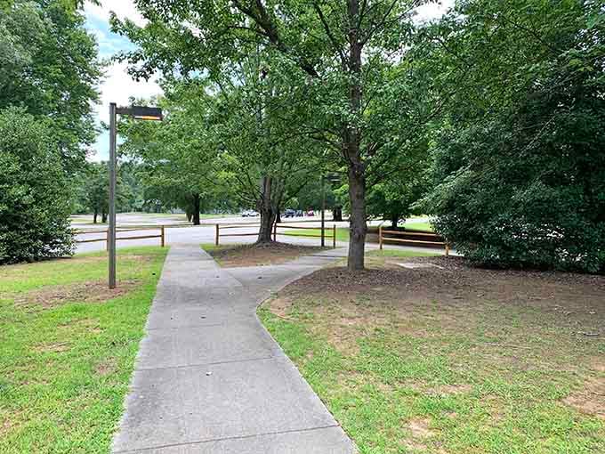 These pathways lead to adventure, or at least to a really nice spot to sit and contemplate life's mysteries.