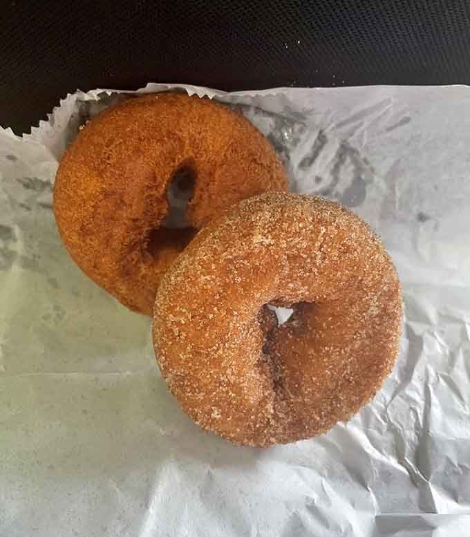 Two golden circles of cinnamon-sugar perfection that'll make you forget every other donut you've ever tasted in your life.