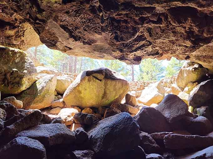 Looking up from inside the collapsed entrance, you'll see the forest canopy framing your portal to another world.