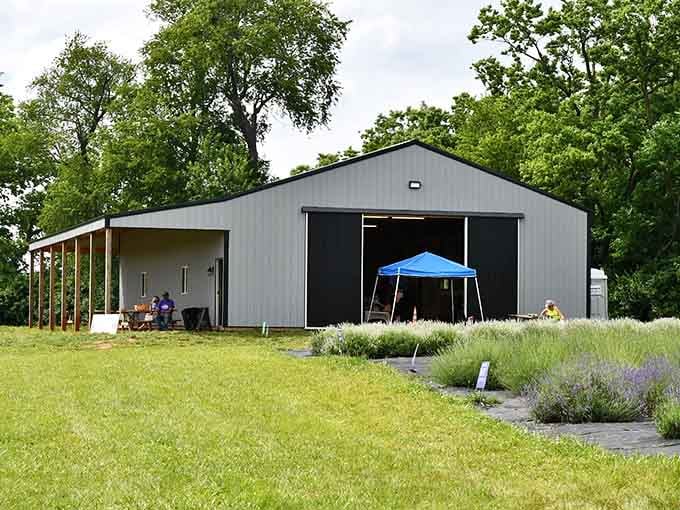 Behind every gorgeous flower field is a barn that's seen some things and isn't telling.