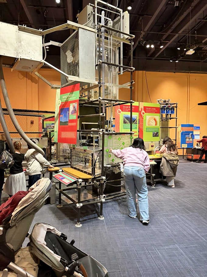 This towering contraption teaches physics through play, because who said science can't involve climbing and possibly showing up your kids?