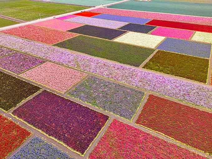 From above, the fields look like someone spilled a giant box of crayons across the valley.