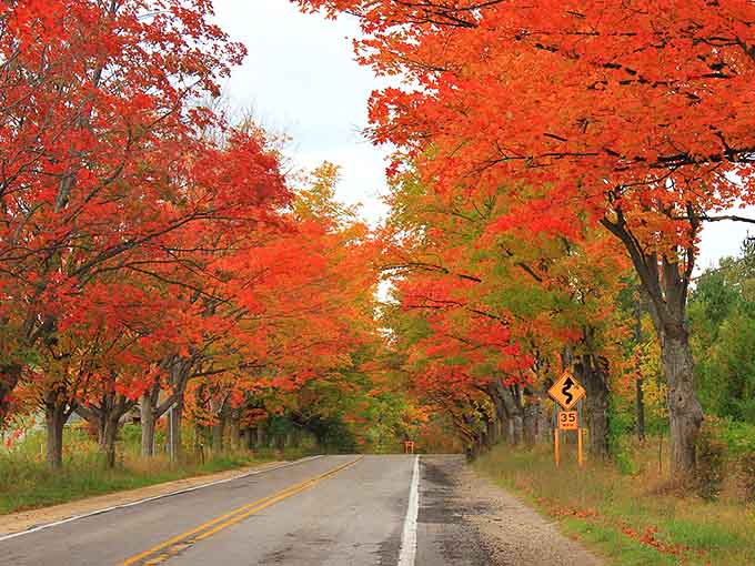 Mother Nature showing off her entire crayon box along M-22, making New England wonder what all the fuss is about.