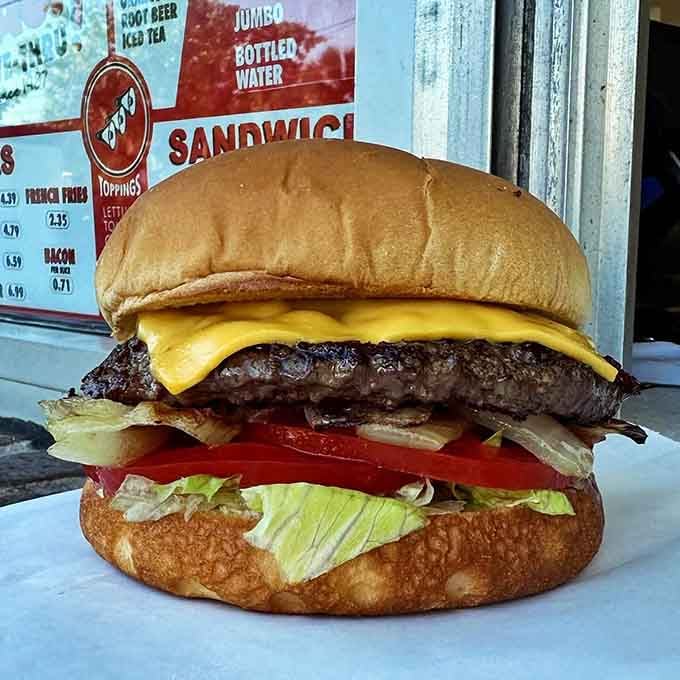 Look at that cheese draped over the patty like a delicious yellow blanket of pure happiness.