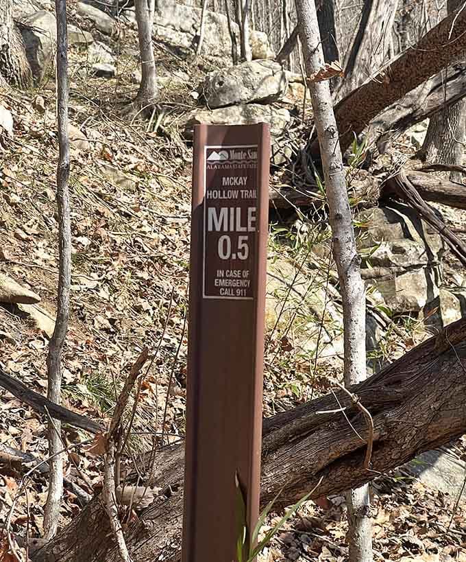 Half a mile in and you're already feeling like a wilderness explorer, minus the pith helmet and dramatic soundtrack.